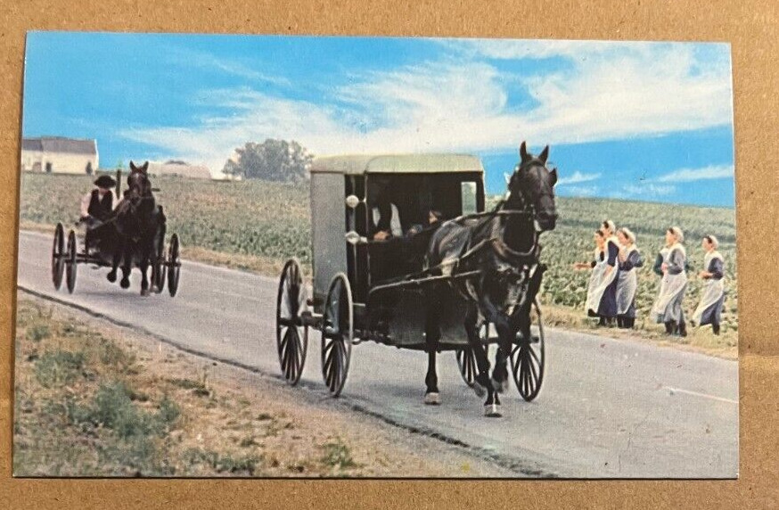 Vintage Unused Postcard - the Amish Family Carriage & Courting Buggy ...
