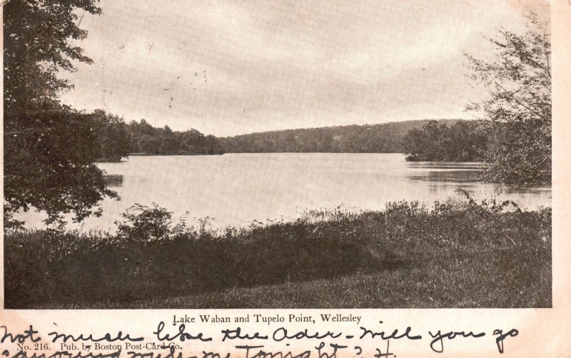 Vintage Postcard 1906 Lake Waban and Tupelo Point Wellesley Boston ...
