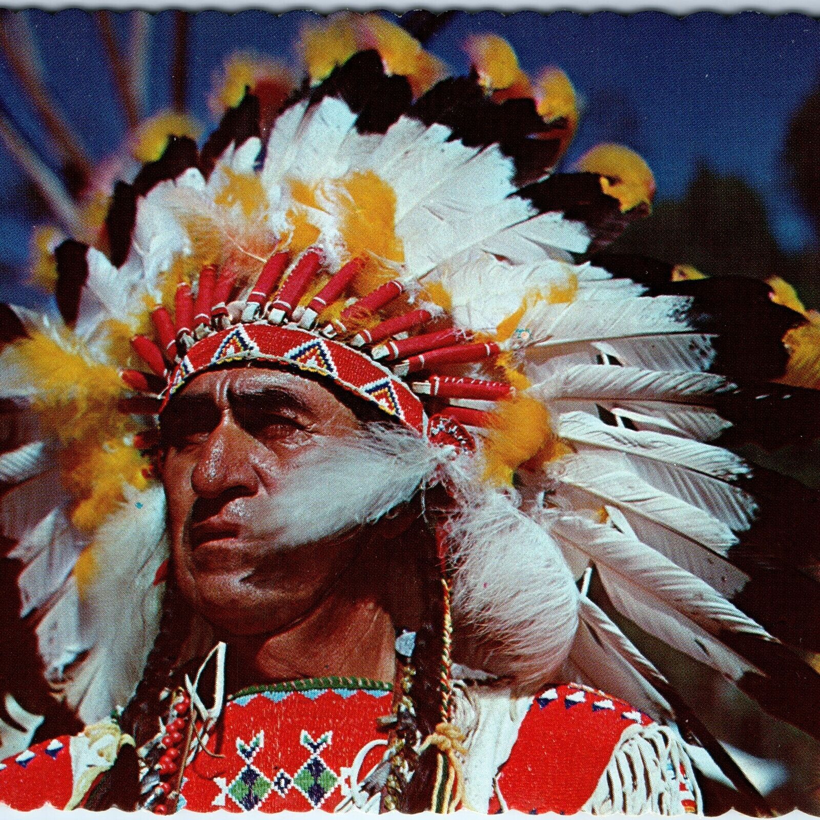 c1970s Indian Chief Big Cloud Native American Elder Regalia Headdress ...