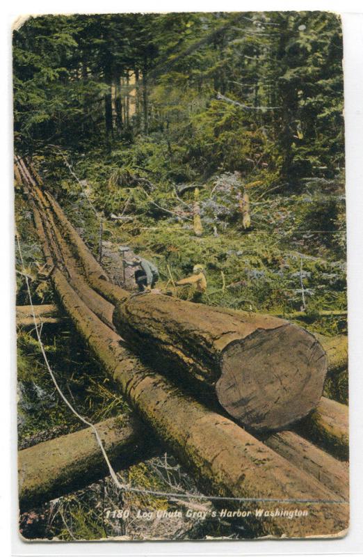 Log Chute Logging Grays Harbor Washington 1909 postcard | United States ...