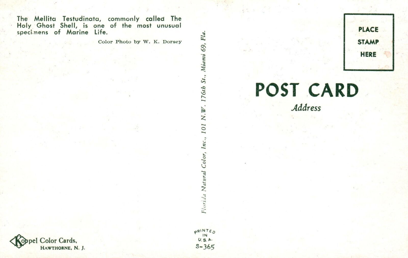 Vintage Postcard Legend of the Holy Ghost Shell Doves of Peace Star of ...