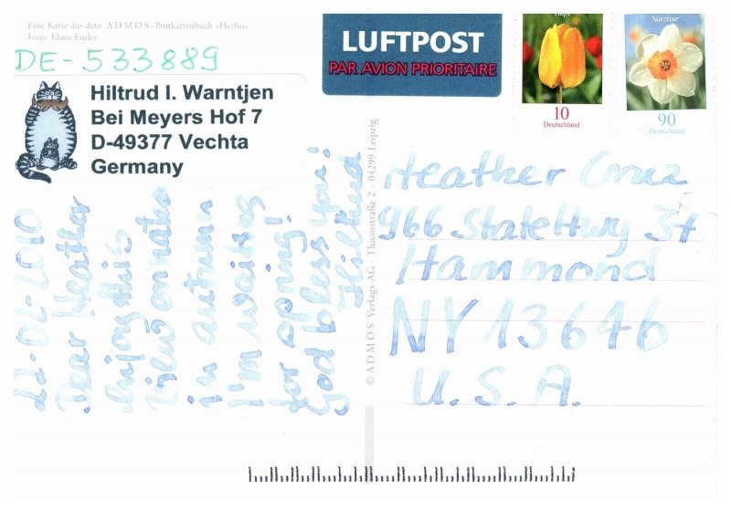 Vechta Germany Eine Karte Aus Dem Scenic European Park Chrome WOB ...