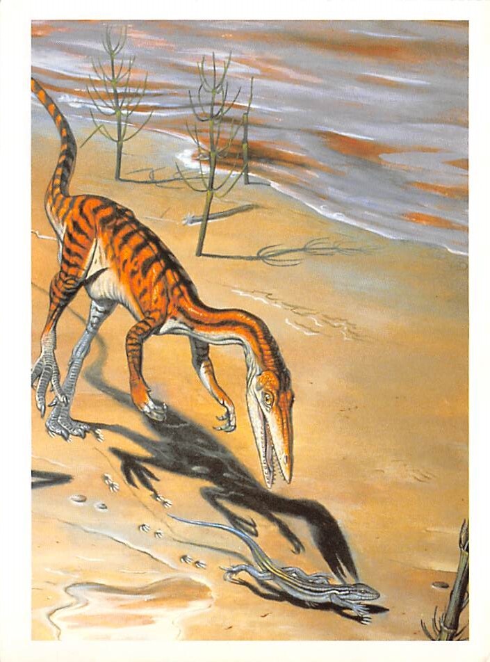 The Red Huntress The Red Huntress, Tyrrell Museum Of Palaeontology ...