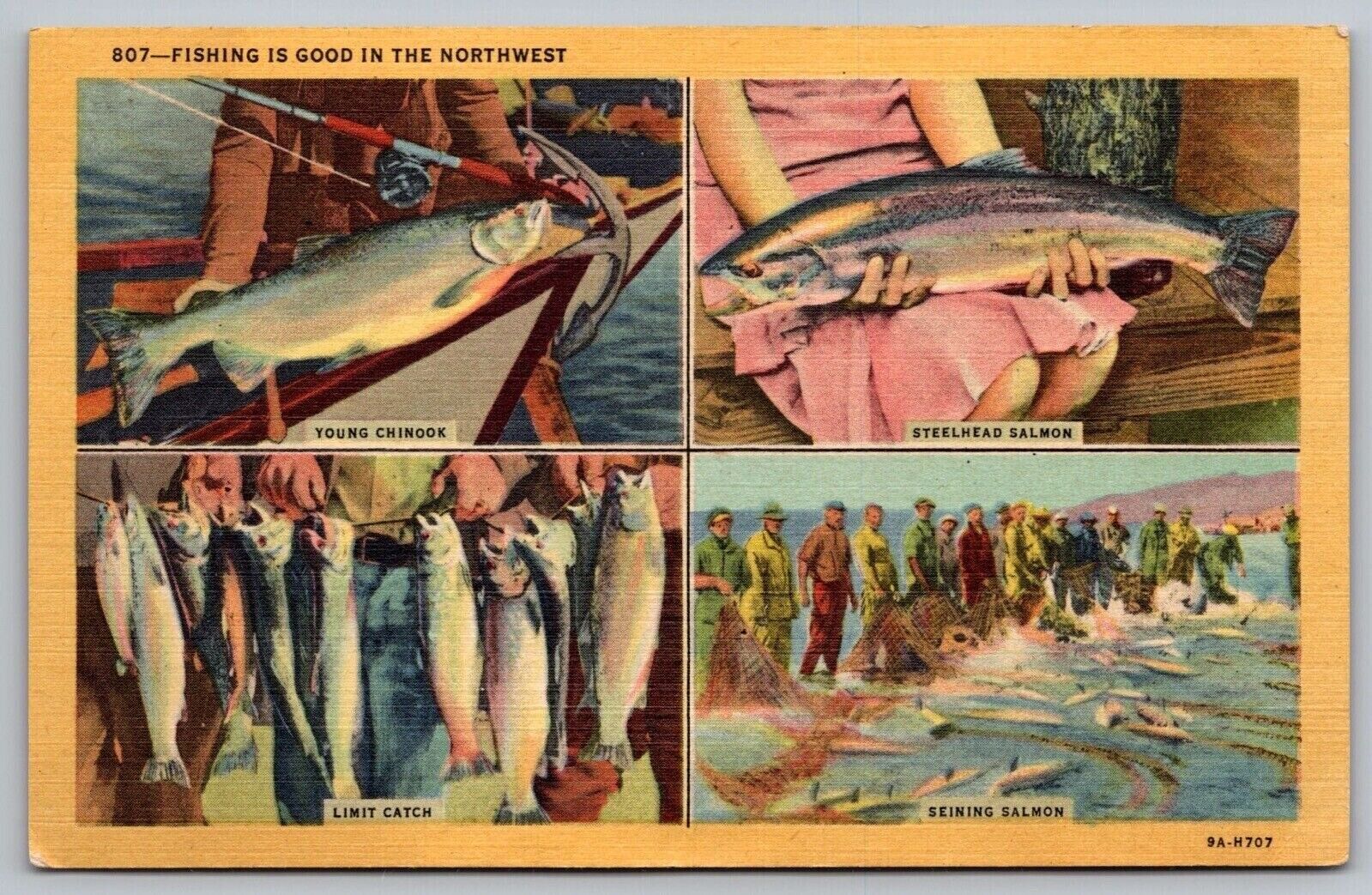 Fishing Good NW Northwest Young Chinook Salmon Catch Multiview Postcard UNP WOB | Other ...