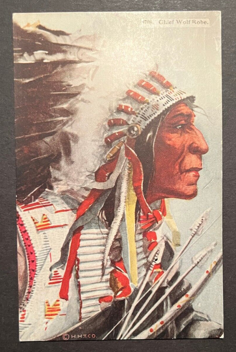 Mint USA Postcard Native American Indian Chief Wolf Robe Portrait ...