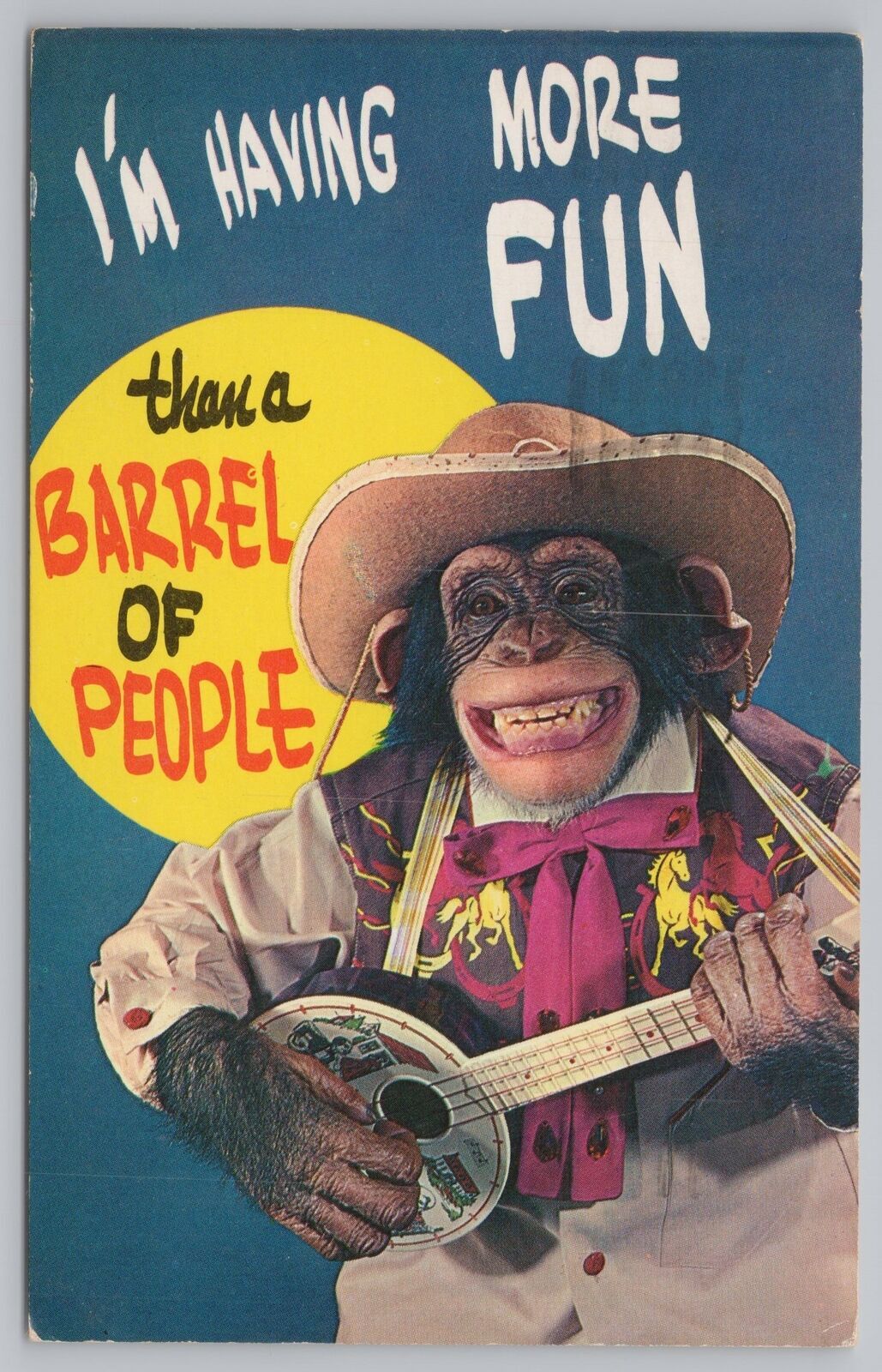 Monkey & Banjo~Having More Fun Than A Barrel Of People~Plastichrome~PM ...