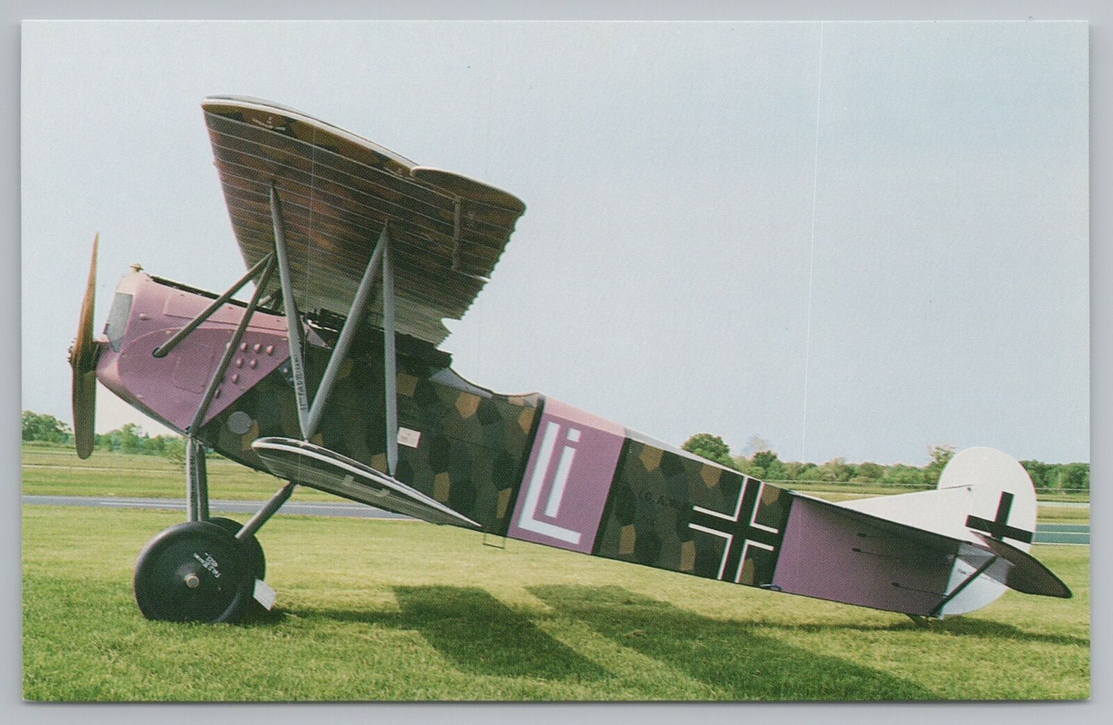 Aircraft~Fokker D.CII~First Appearing Over WWI Battlefield~Vintage ...