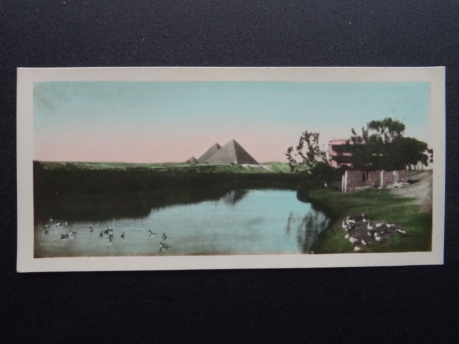 Cairo LANDSCAPE WITH THE PYRAMIDS OF GIZA 1920 RP Postcard by L ...