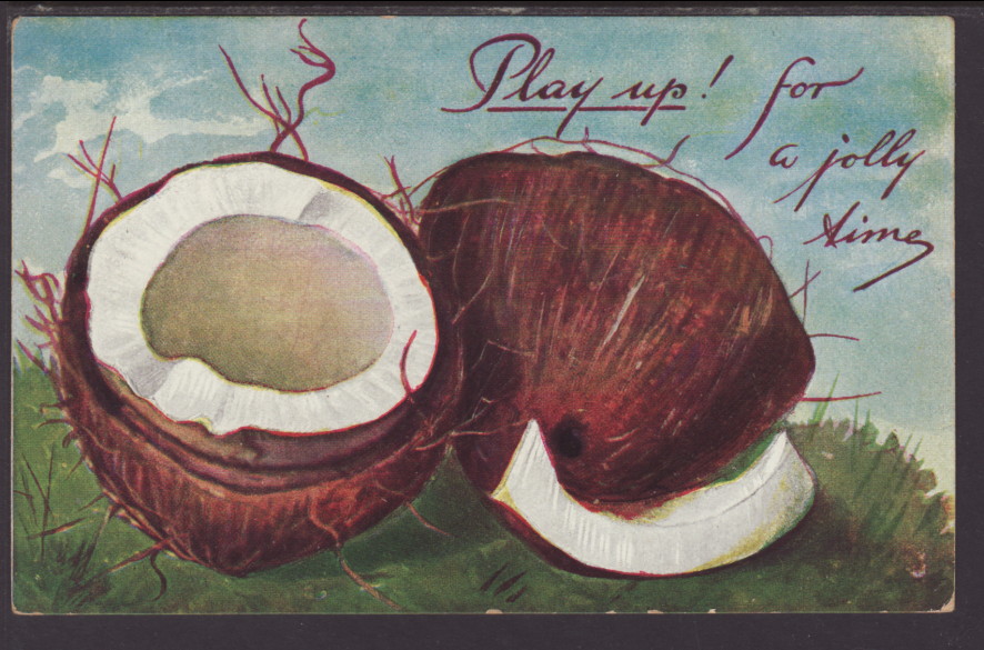 Play Up for a Jolly Time,Coconuts,Comic Postcard | Topics - Cartoons ...