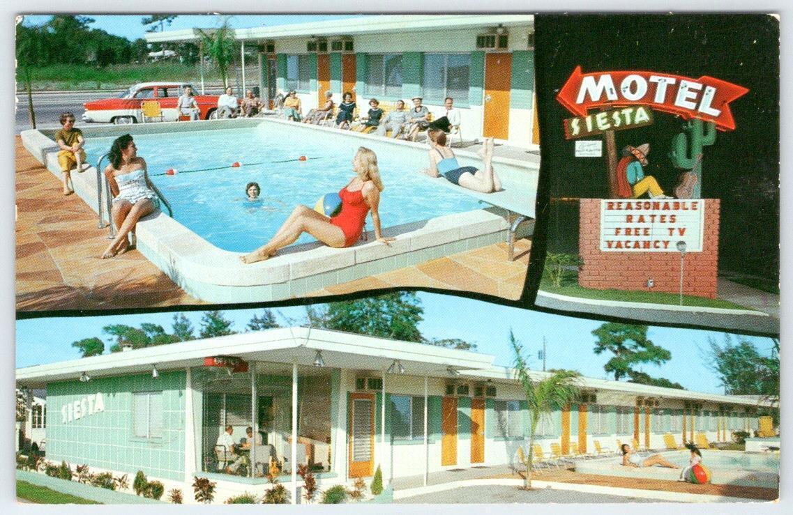 1950'S Siesta Motel ST Petersburg Florida Swimming Pool Neon Sign ...