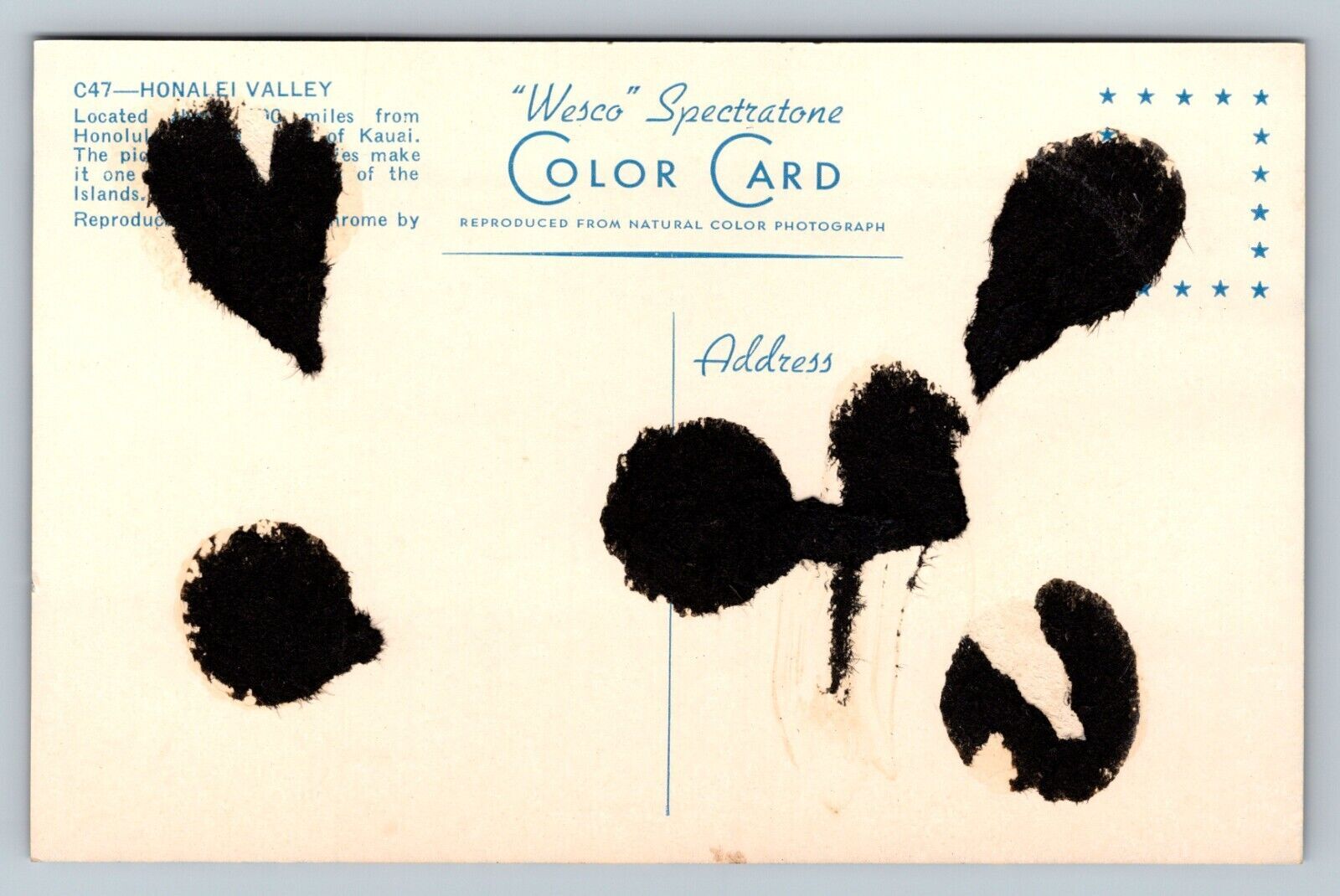 Honalei Valley In Hawaii Vintage Unposted Postcard Wesco Spectratone ...