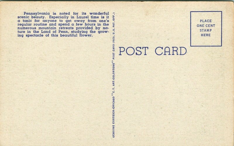 Lot of 2 Vtg Linen Postcards - Pennsylvania State Flower - Mountain ...