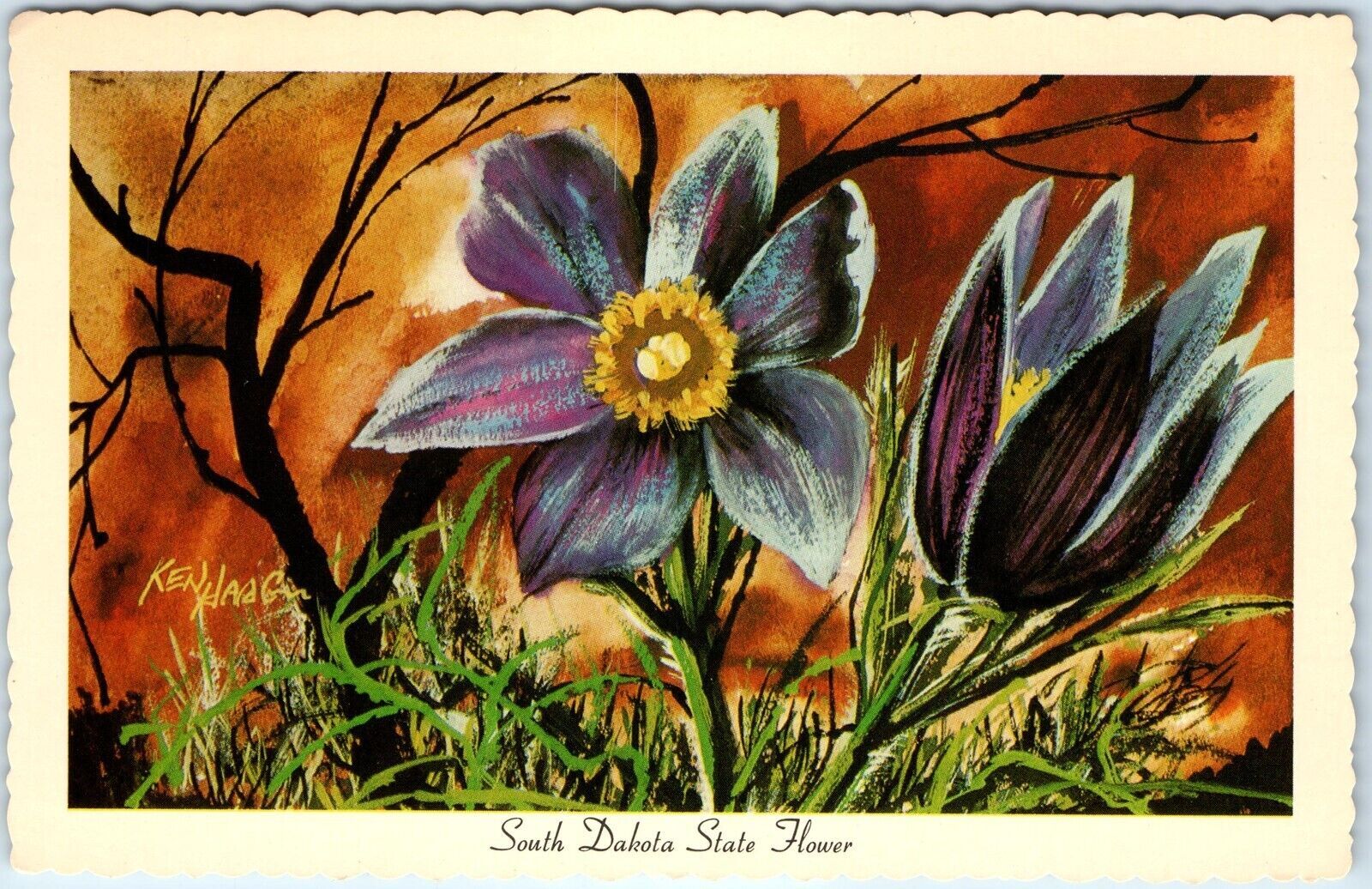1967 SD South Dakota State Flower Pasque Spring Bloom Ken Haag Painting ...
