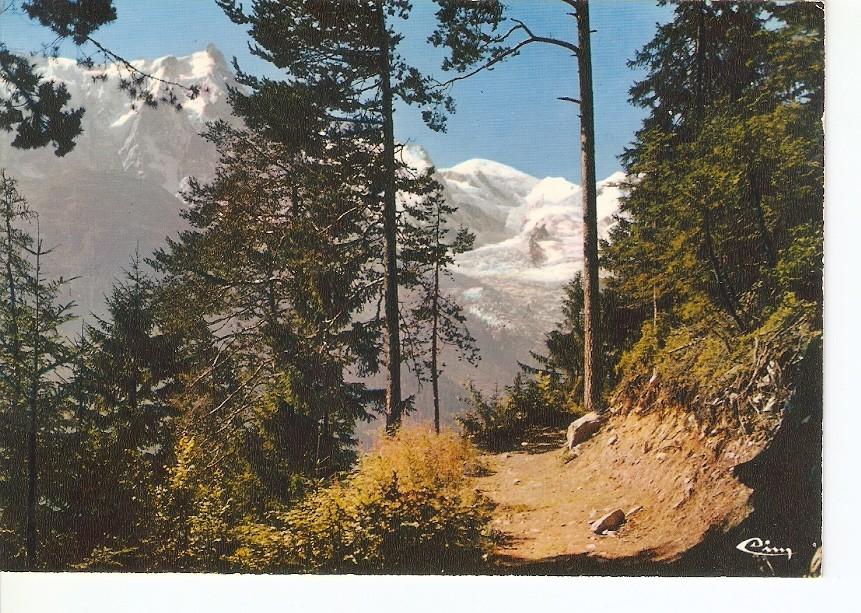 Postal 032110 : Chamonix Mont Blanc Depuis le petit Balcon sur le ...