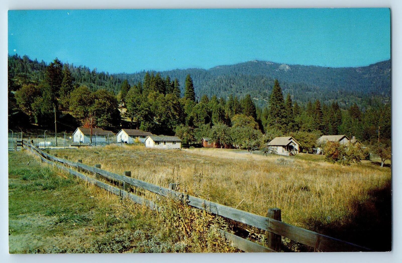 Camp Nelson California CA Postcard Camp Nelson Cabins Scenic View c1960 ...