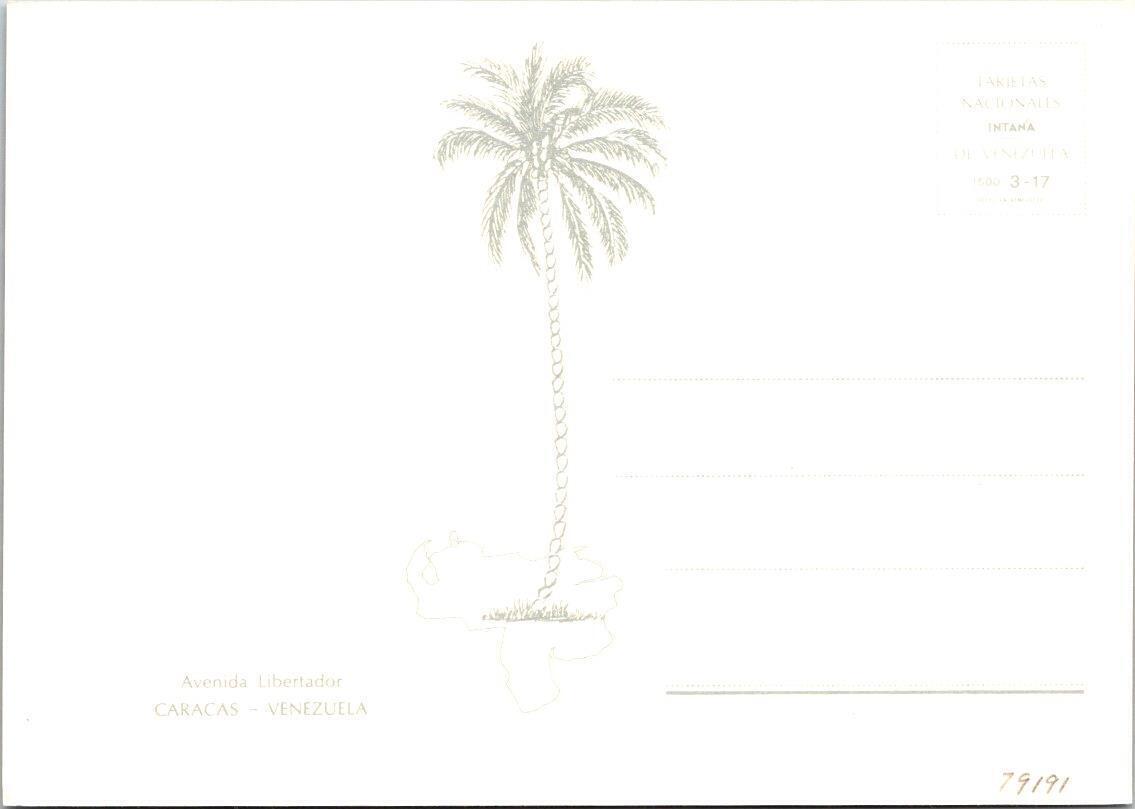 2~4X6 Postcards Caracas, Venezuela STREET SCENES Avenida Libertador ...
