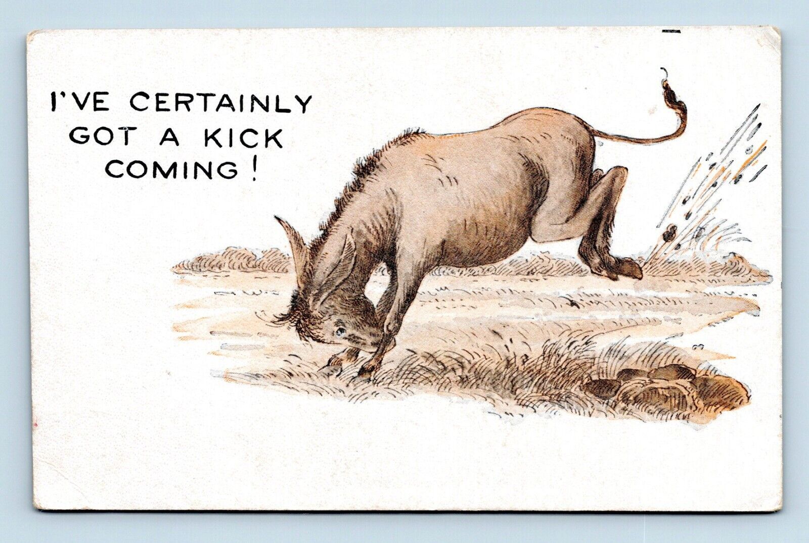 Got a Kick Coming Donkey Mule Comic Humor UNP DB Postcard M5 | Other ...