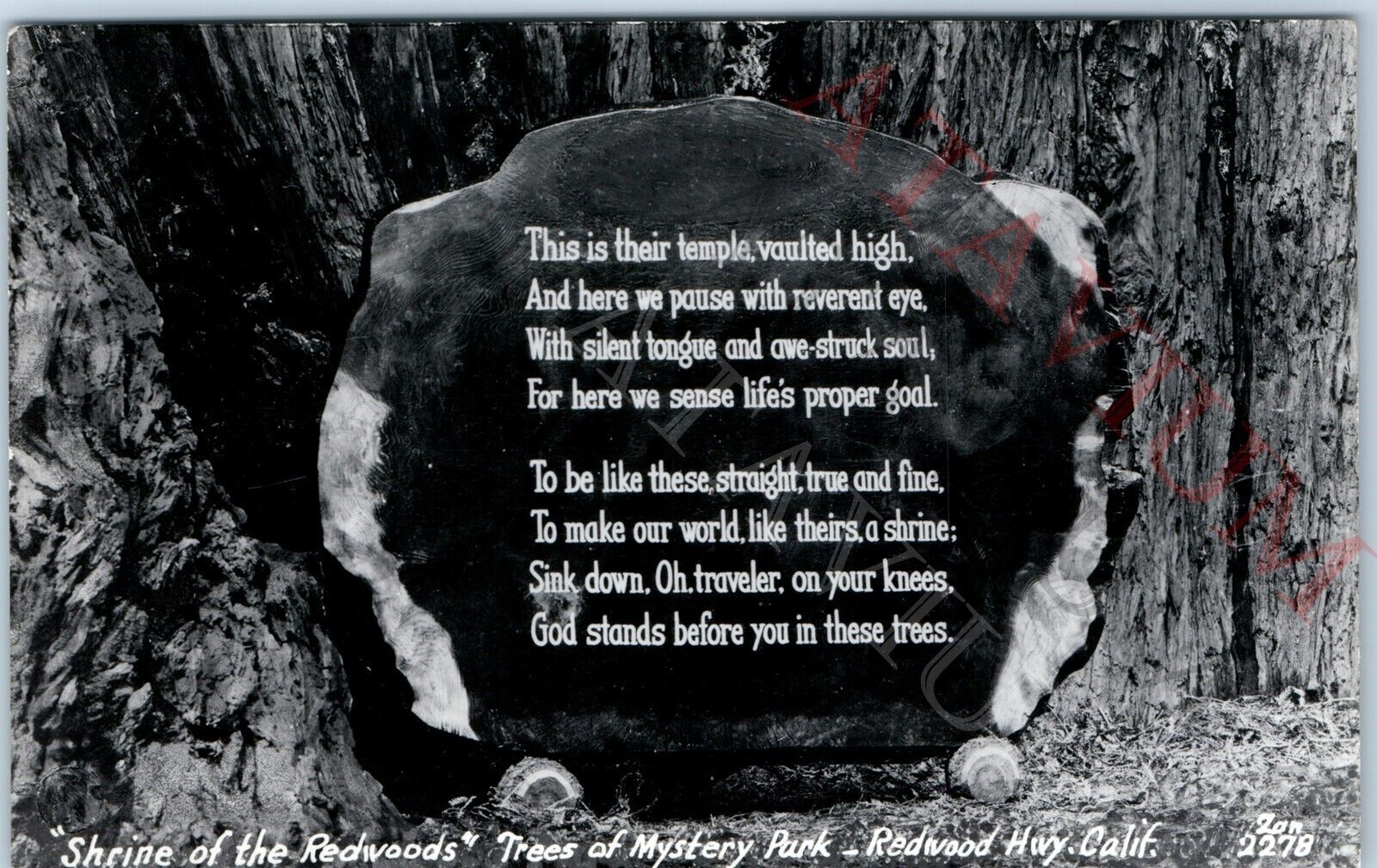 c1950s Redwood Hwy CA RPPC Shrine Tree Monument Mystery Park Photo God ...