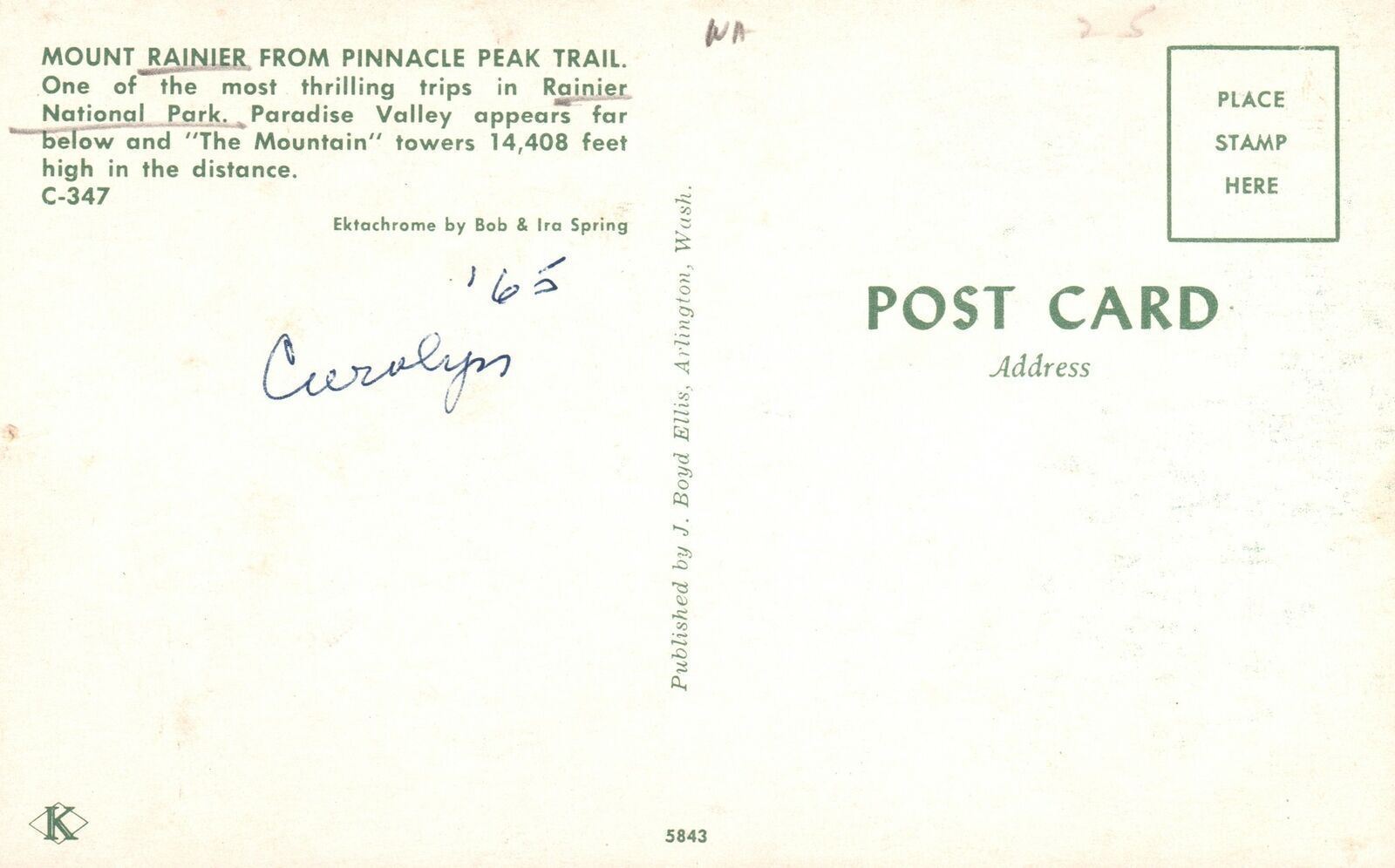 Vintage Postcard Mount Rainier From Pinnacle Peak Trail National Park ...