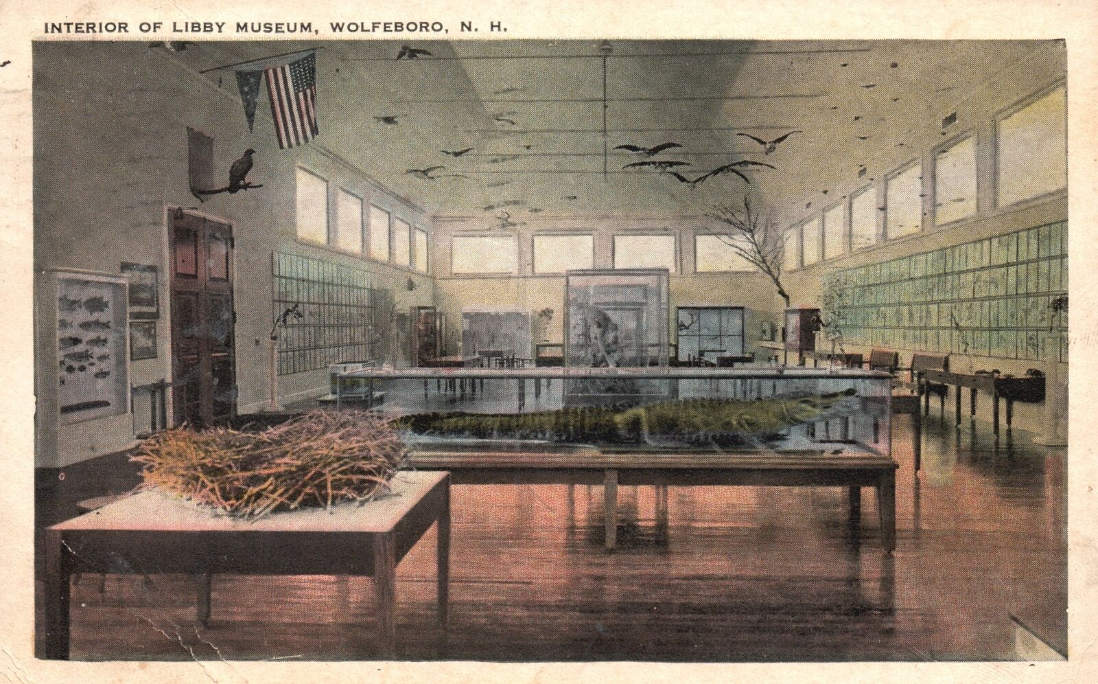Vintage Postcard 1929 Interior View Of Library Museum Wolfeboro New ...