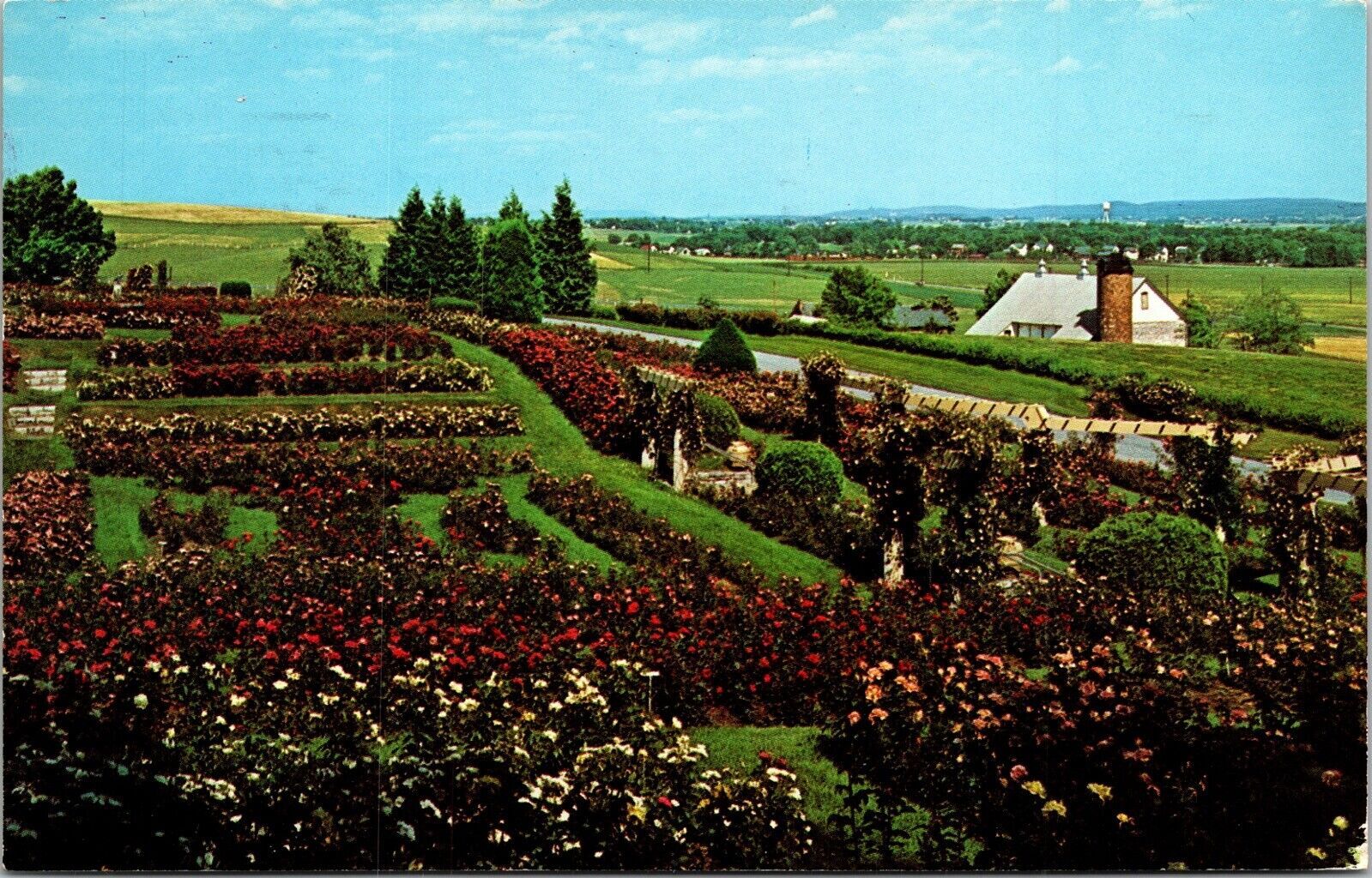 Hershey Pennsylvania Beautiful Rose Garden Landscape House Postcard ...