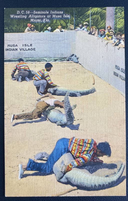 Mint USA Picture Postcard Native Americana Indian Seminole Wrestling ...