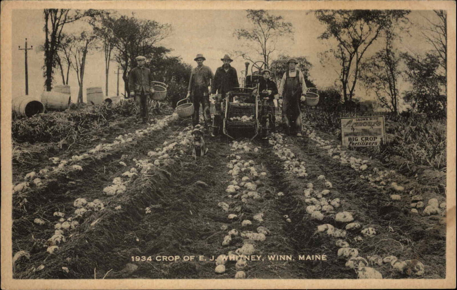 Winn ME 1934 Potato Farming Armour's Fertilizer Postcard | United ...