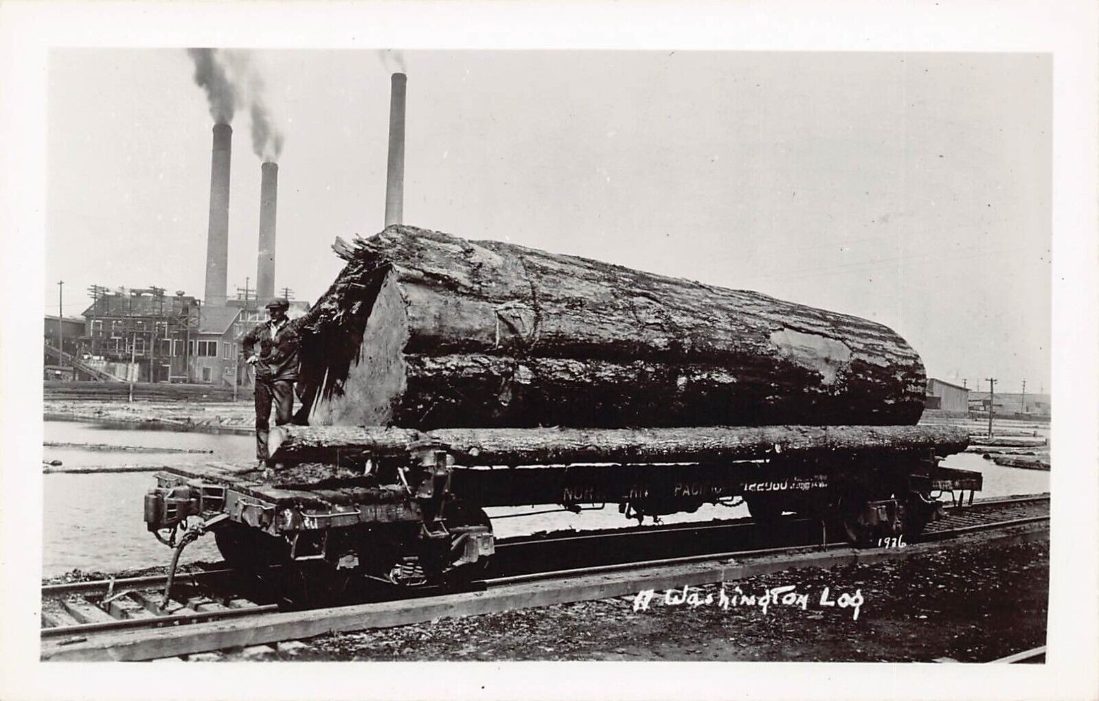 Large Log Logging Northern Pacific Railroad Car Washington 1950s RPPC ...