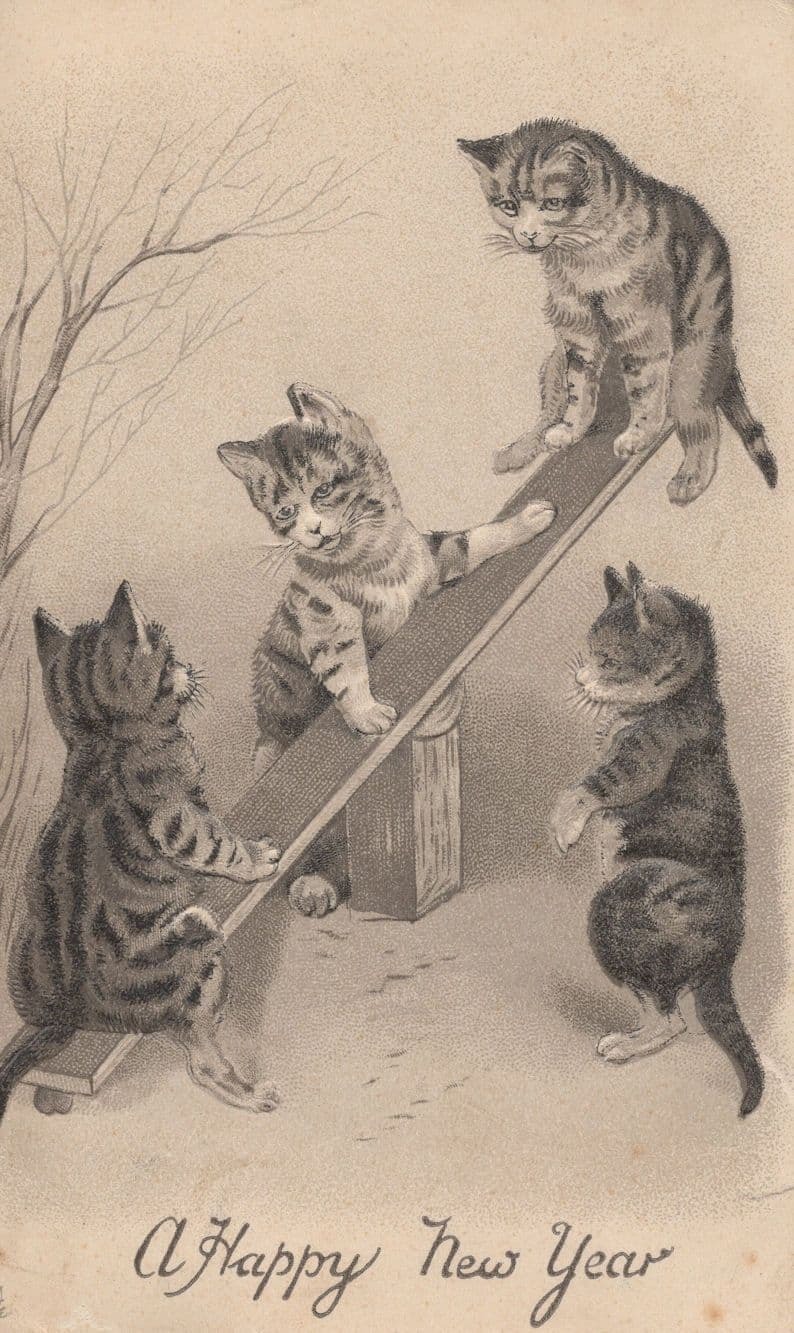 Cats On See Saw Kitten Playing Old Tucks WW1 Cat Postcard | Topics ...