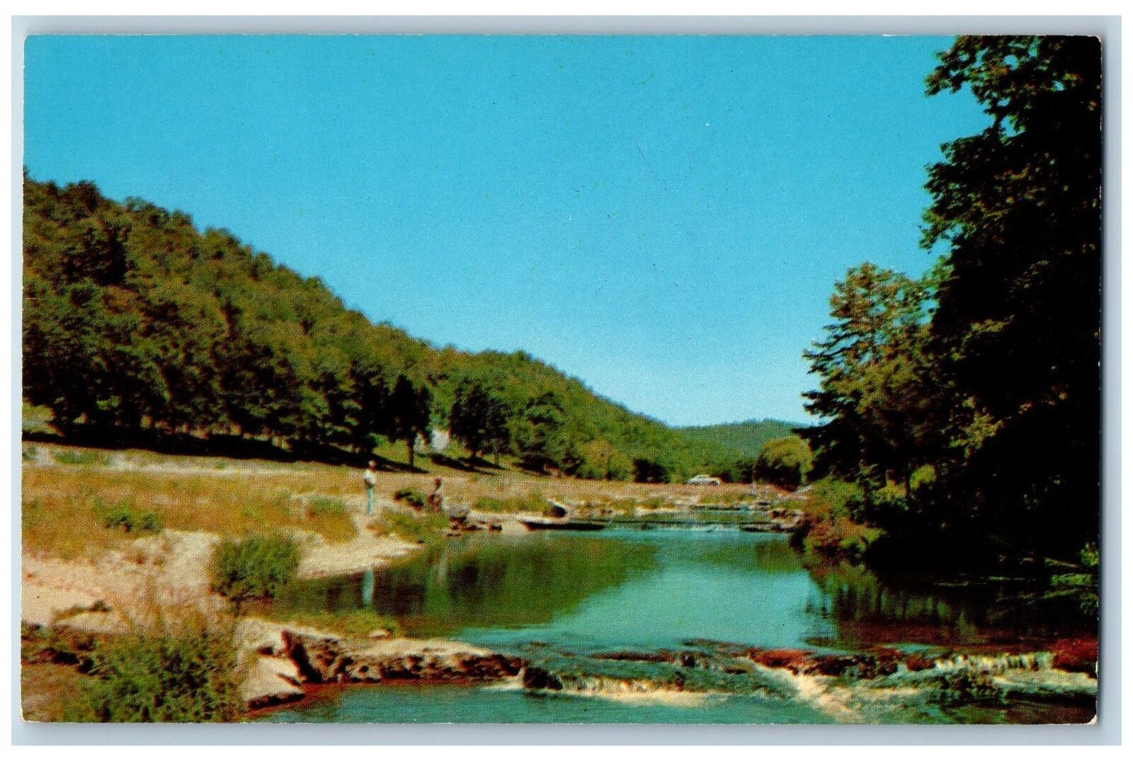Cassville Missouri MO Postcard Roaring River State Park Trees Scene ...