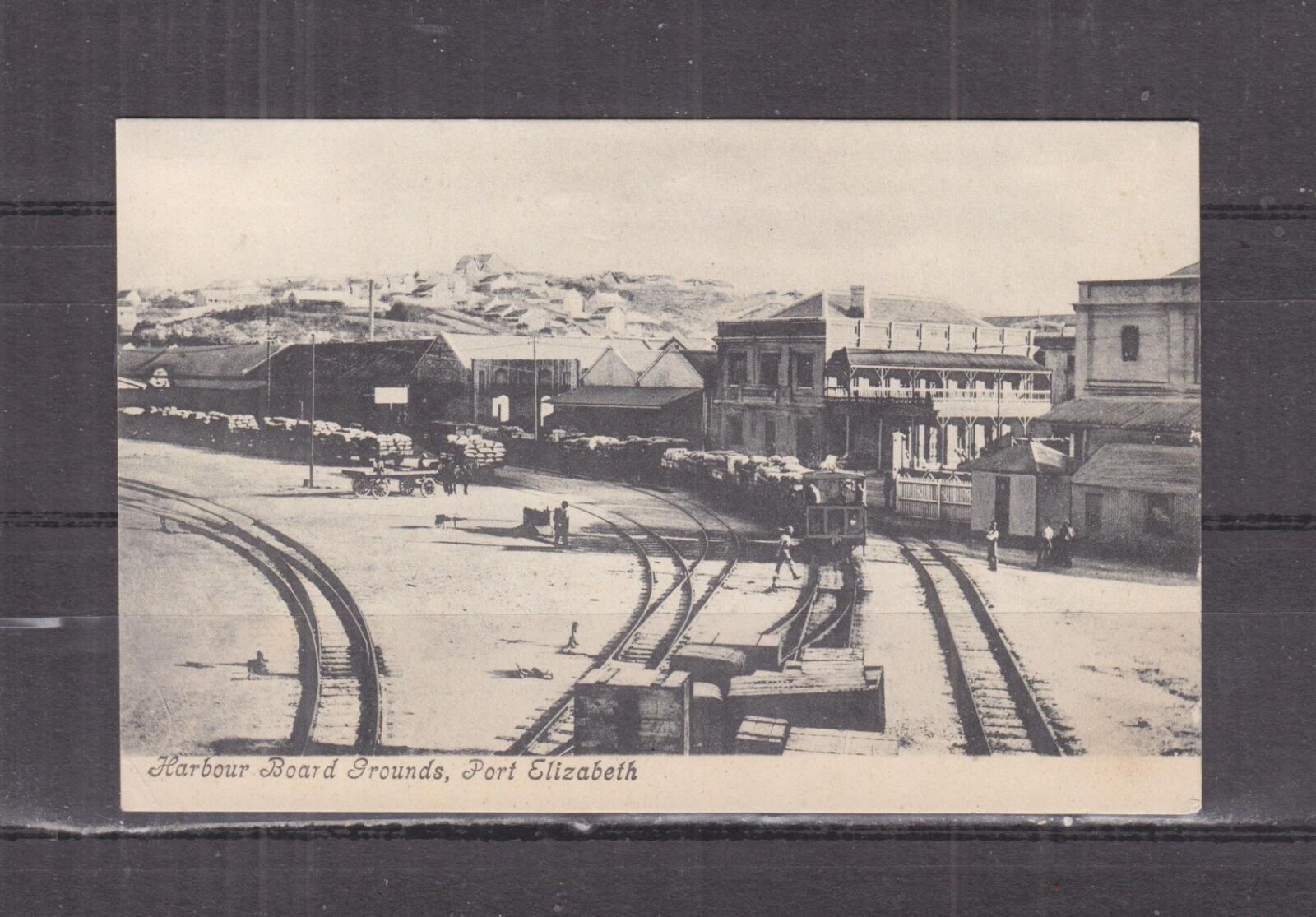 Cape of Good Hope, Port Elizabeth, Harbour Board Grounds, C1910 Ppc ...