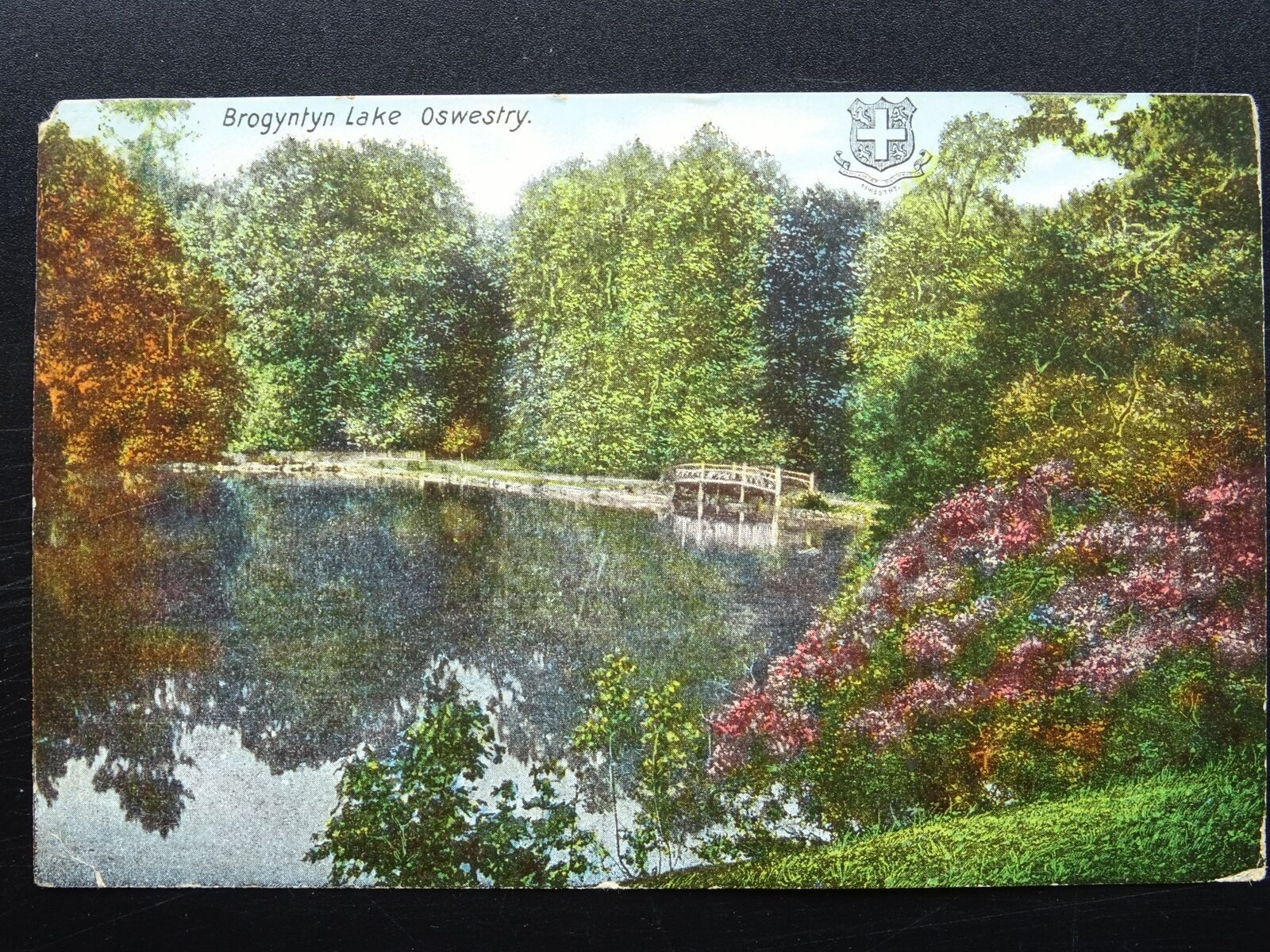 OSWESTRY Brogyntyn Lake shows Wooden Footbridge c1905 Postcard by J.W ...