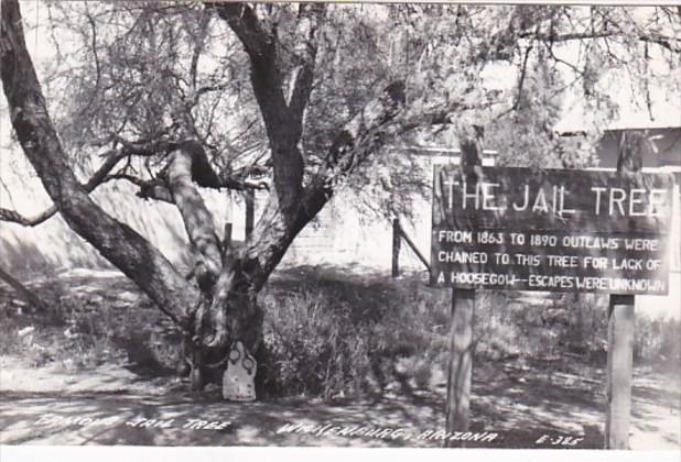 Arizona Wickenburg The Jail Tree Real Photo | United States - Arizona ...