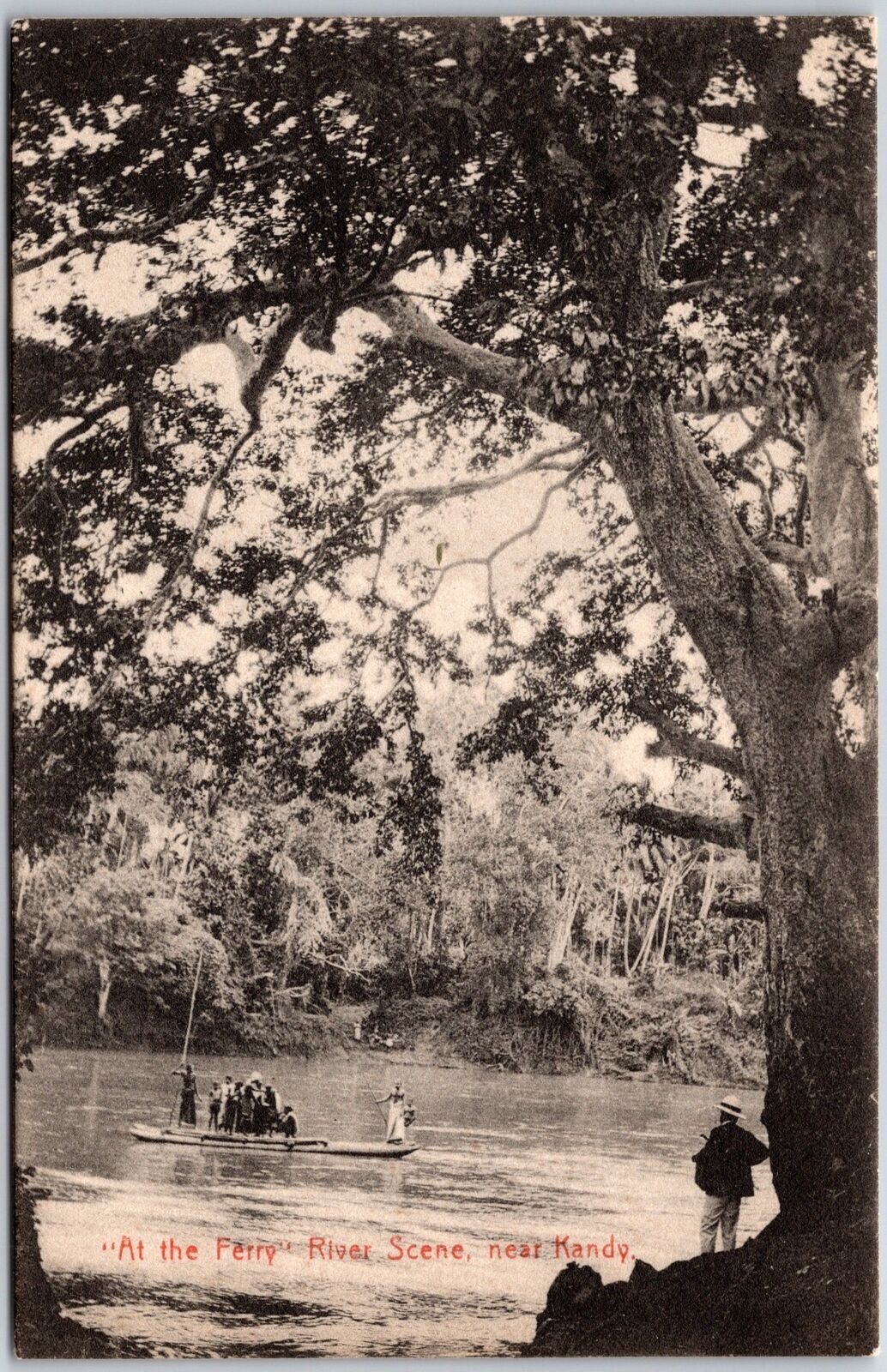 At The Perry River Scene Near Kandy Sri Lanka Nature Resort Postcard ...