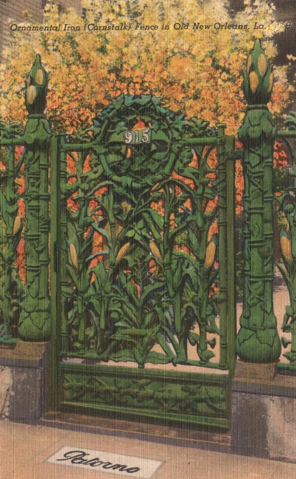 Vintage Postcard Ornamental Iron Fence Cornstalk Old New Orleans ...