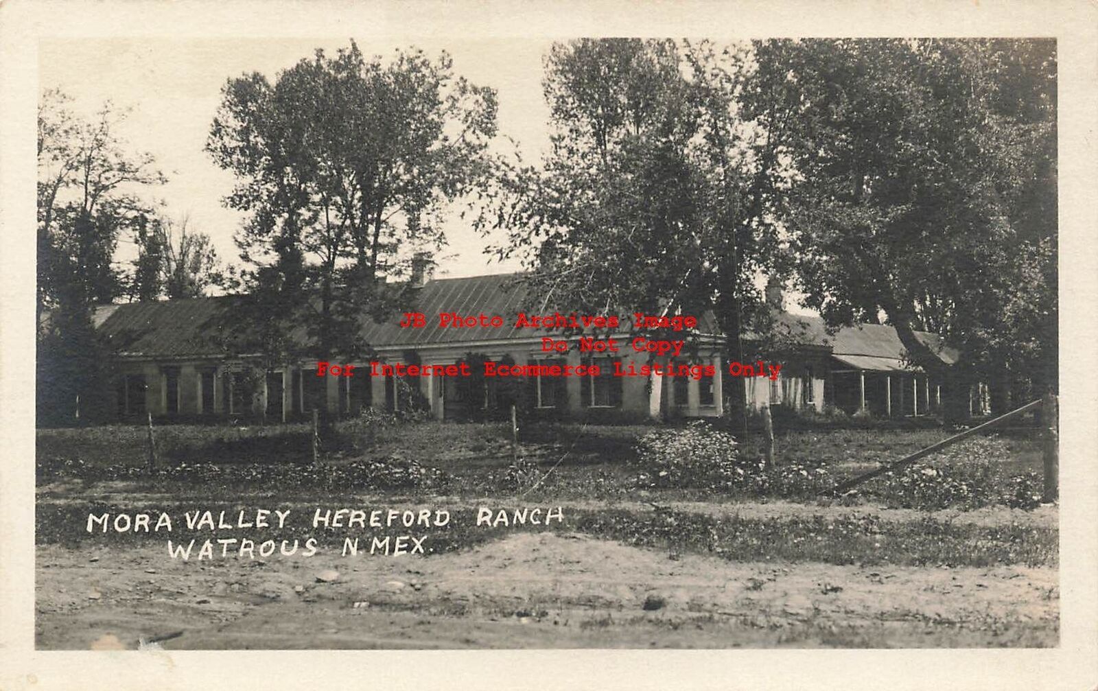 NM, Watrous, New Mexico, RPPC, Mora Valley Hereford Ranch, Photo ...