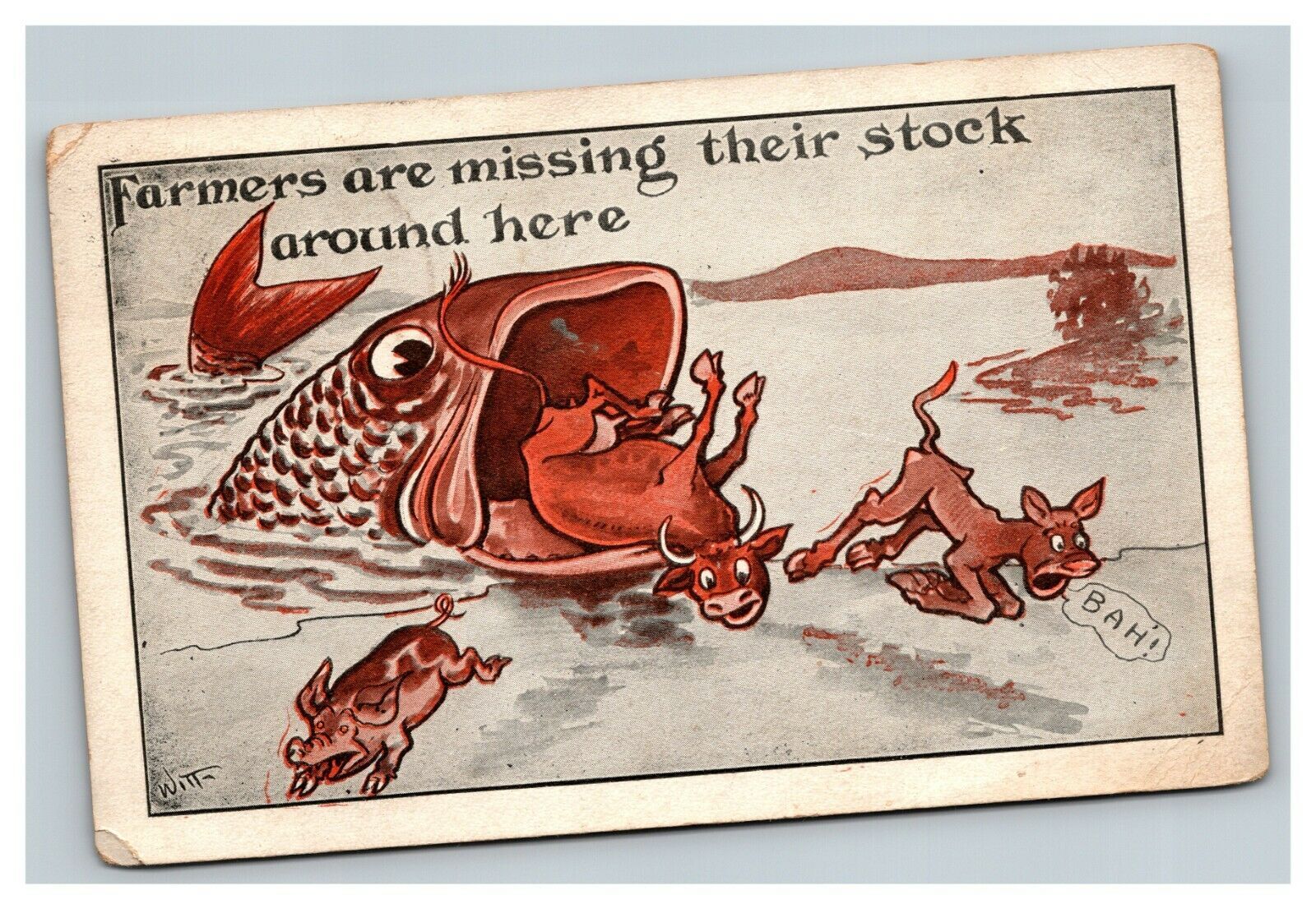 Vintage 1900's Comic Postcard Freak Fishing Fish Swallowing a Cow ...
