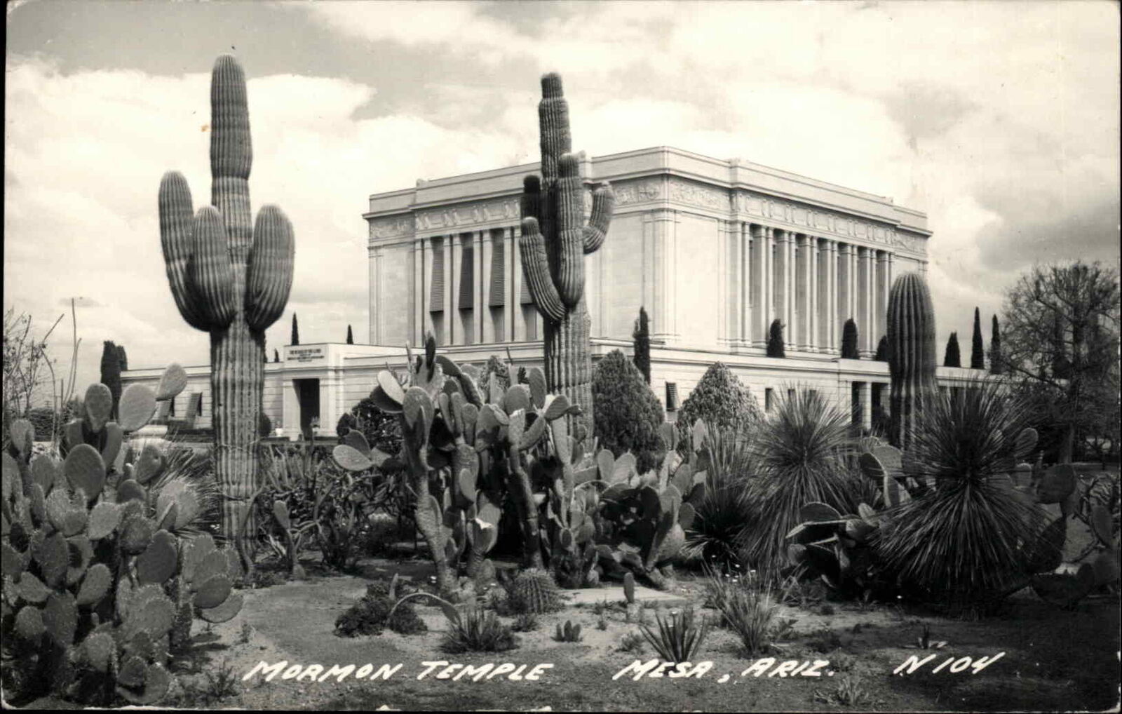 Mesa Arizona AZ Mormon Temple Cactus Desert Real Photo Vintage Postcard ...