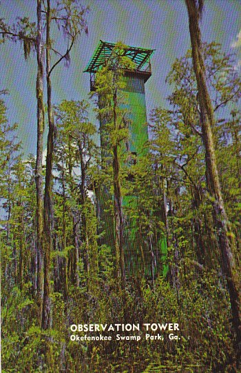 Georgia Observation Tower Okefenokee Swamp Park | United States ...