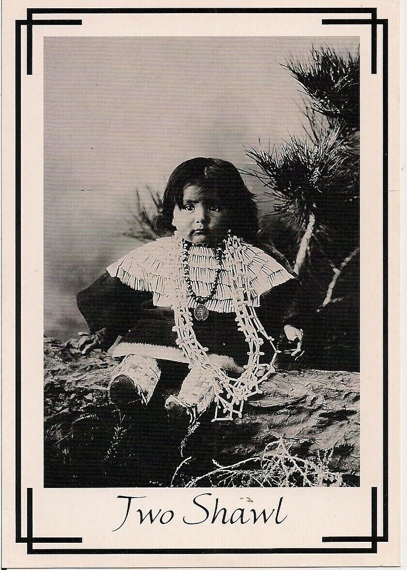Two Shawl Native American Child Of The Brule Sioux Nation Postcard ...