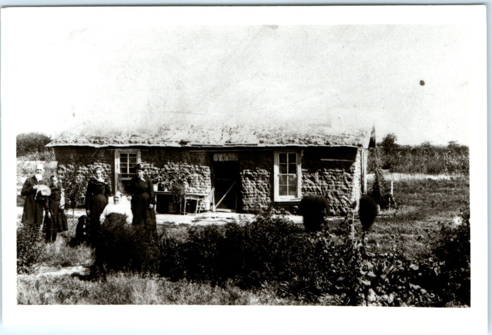 c1910s Pioneer Family Sod House RPPC Prairie Soddie Frontier Real Photo ...