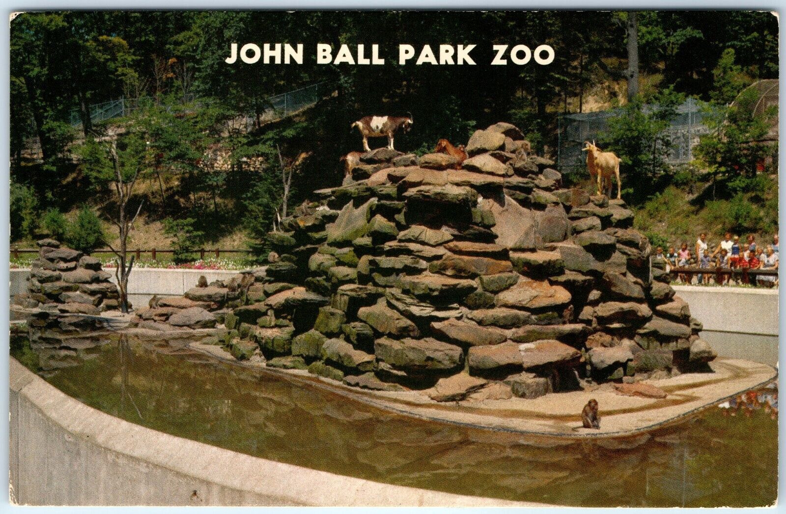 c1960s Grand Rapids, MI Monkey Island John Ball Park Zoo Goat ...
