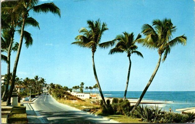 1960's Florida View Of Palm Beach As Seen From Ocean Blvd Chrome ...