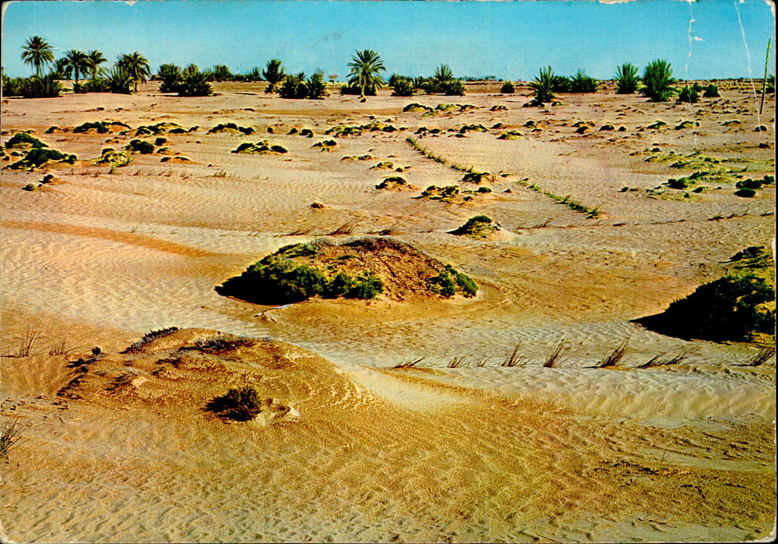 IMN02976 libya tripolitania tripoli sahara desert near tunisia africa | Africa - Other, Postcard ...