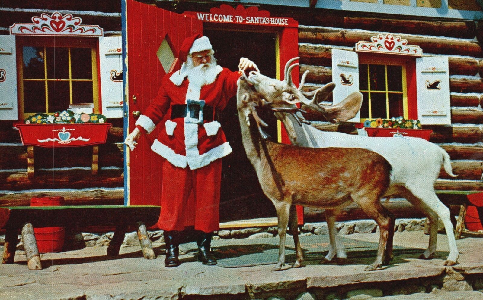 Vintage Postcard 1957 Santa's Deer Looking Handout At North Pole New ...