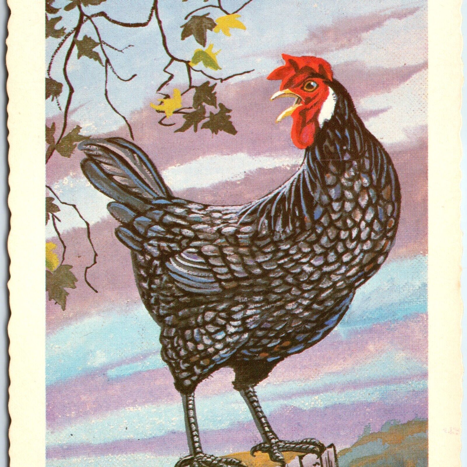 1968 DE Delaware State Bird Blue Hen Chicken Rooster Ken Haag Painting ...