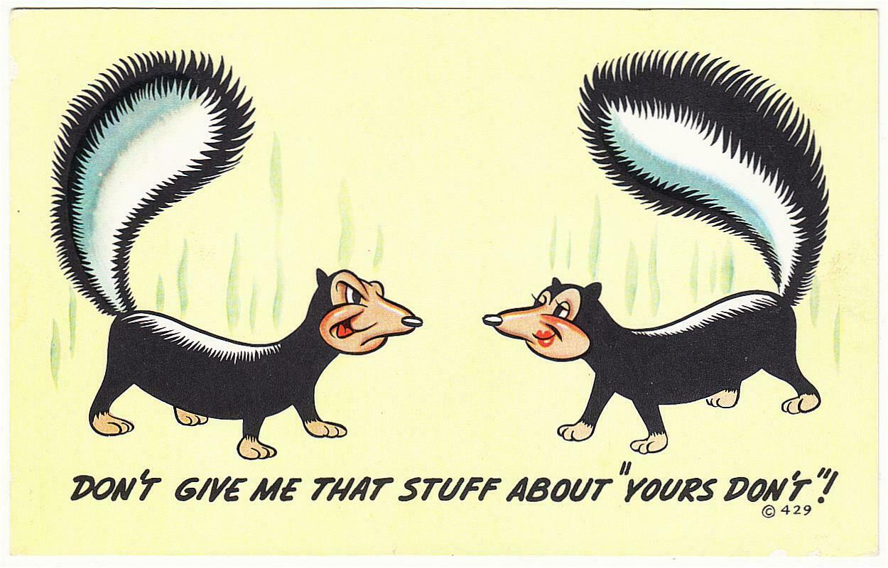 Don't Give Me That About Yours Don't Stink Skunk Comic Postcard by ...