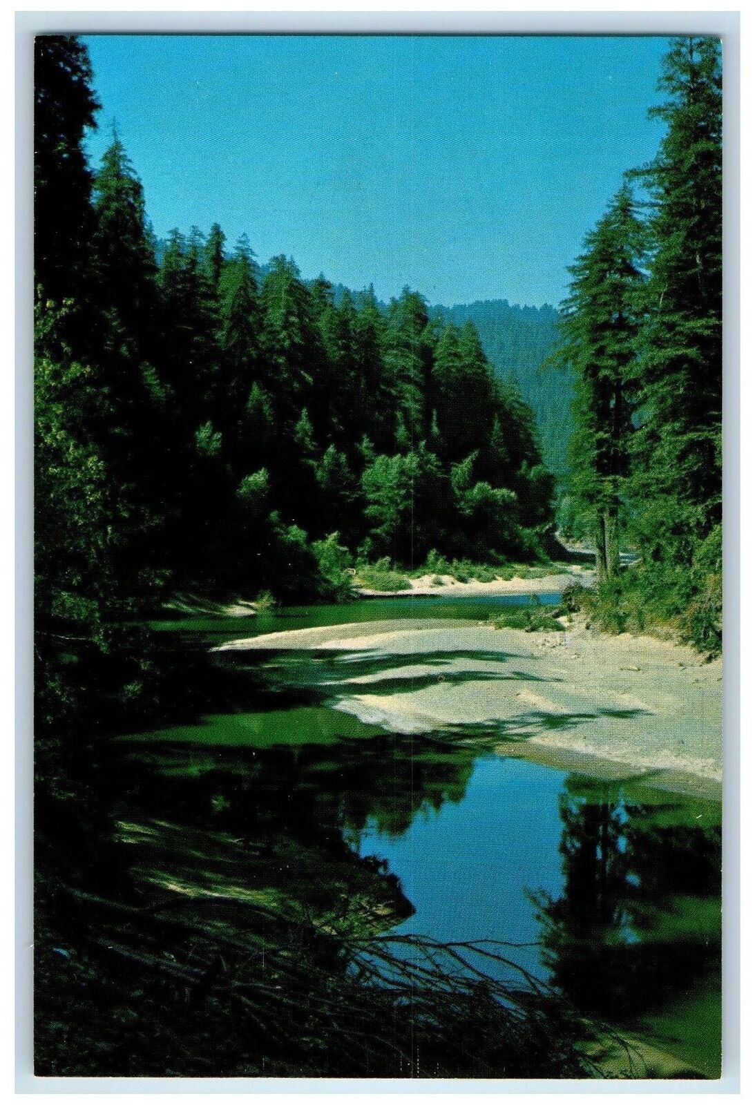 1950's Humboldt Redwoods State Park Lake River Rockefeller Forest CA ...