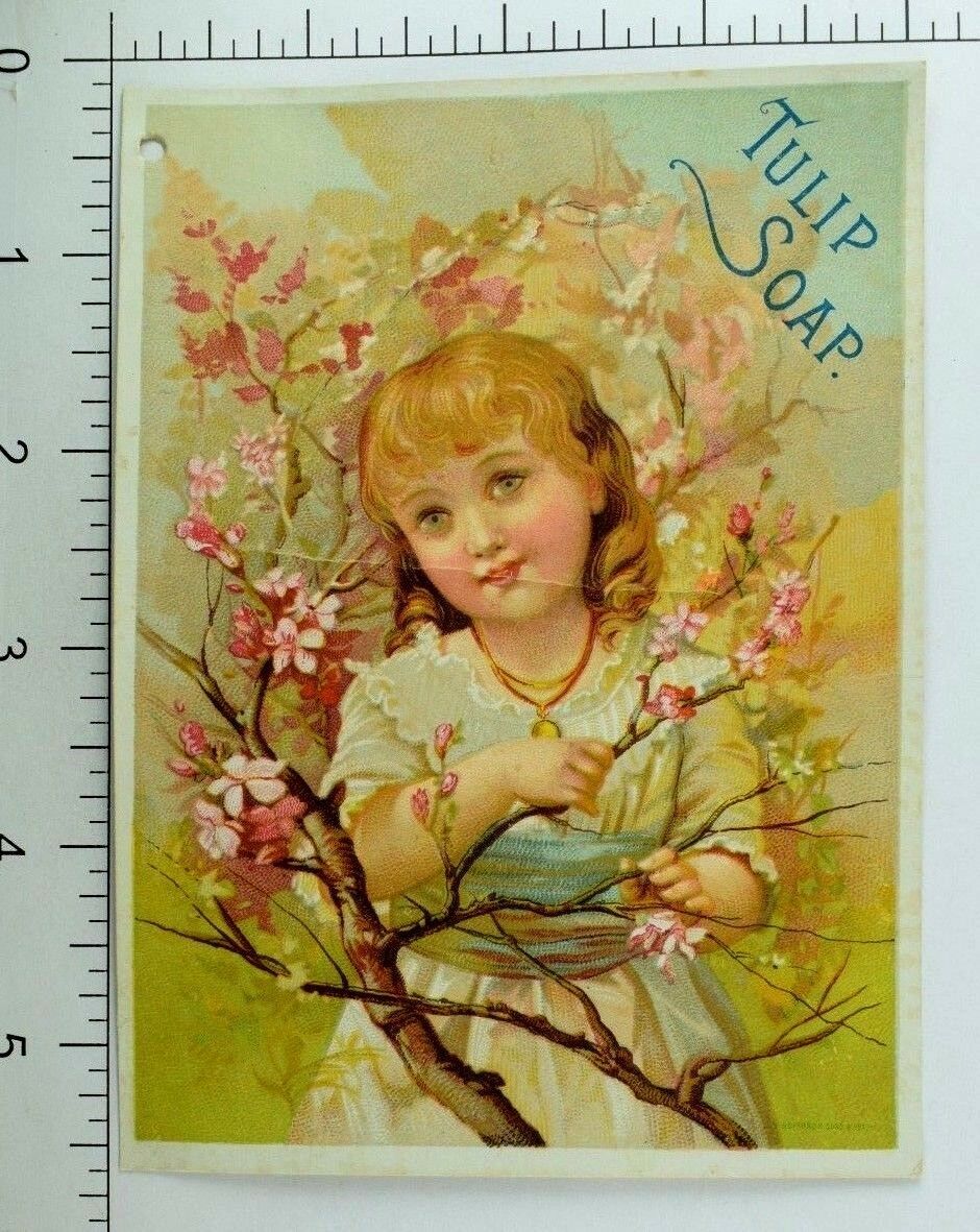 1880's-90's Tulip Soap Trade Card Adorable Girl Tree Blossoms Flowers &G | Ephemera - Chromo ...