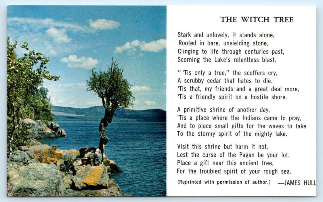 GRAND PORTAGE, MN ~ Lake Superior WITCH TREE Hat Point & Poem c1960s ...